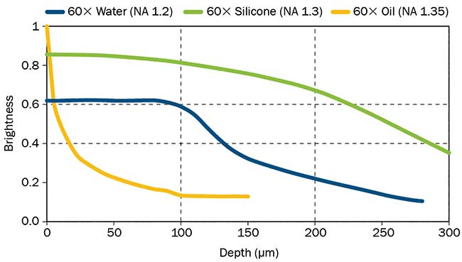 Silicone Immersion Objectives Answer the Call for Higher Resolution ...