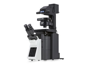 TIRF Imaging | 奥林巴斯生物显微镜