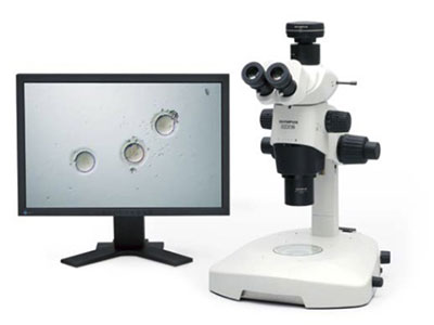 Olympus IVF Solutions | 奥林巴斯生物显微镜