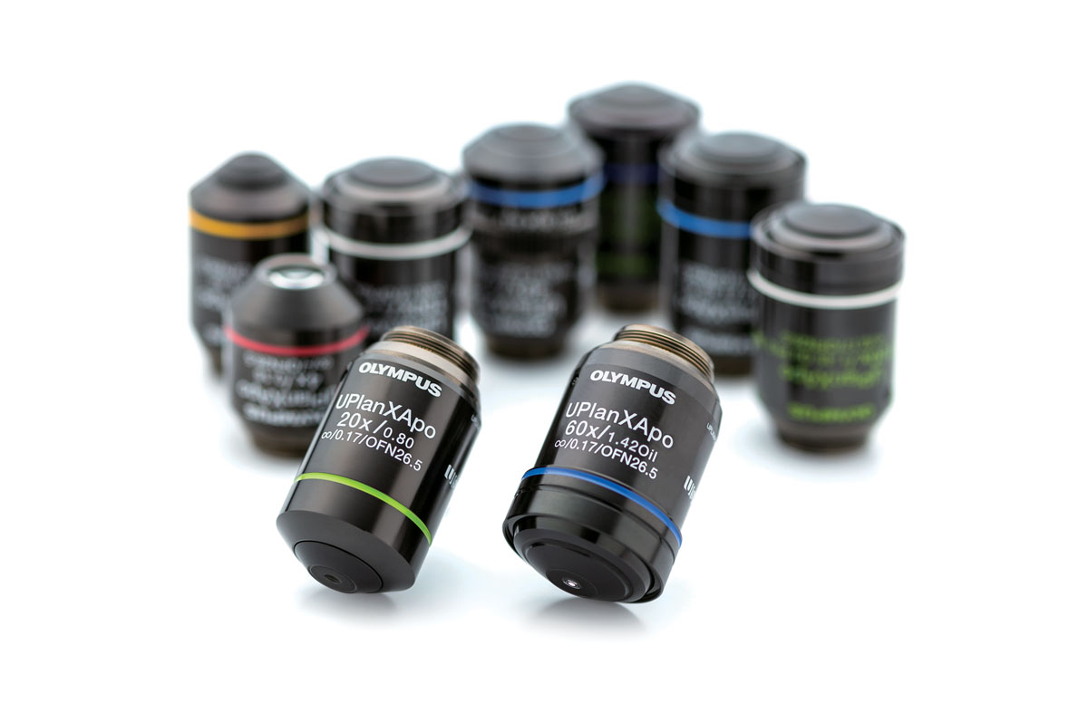 FV4000 | Confocal Laser Scanning Microscope | 奥林巴斯生物显微镜