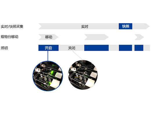APX100 | 数字成像系统 | 奥林巴斯生物显微镜