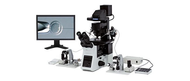 Support Biopsy Efficiency with the Simplified Operation of the IX73 ...