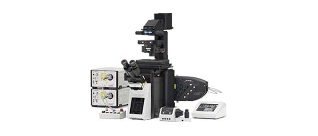 膜形态和分子动力学变化的TIRF成像。 | Olympus LS