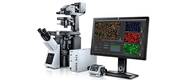 Advanced Live-Cell Analysis Using AI-Driven High-Content Screening ...