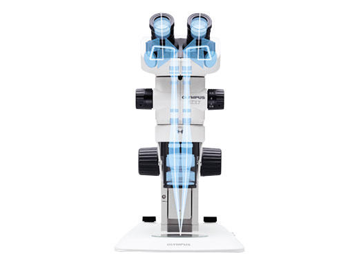 Dissecting Microscopes | 奥林巴斯生物显微镜