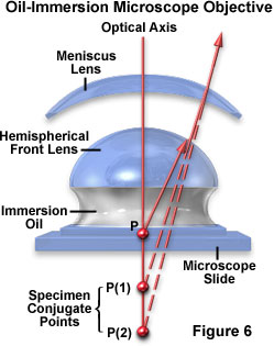 Microscope Objectives - Introduction | 奥林巴斯生物显微镜
