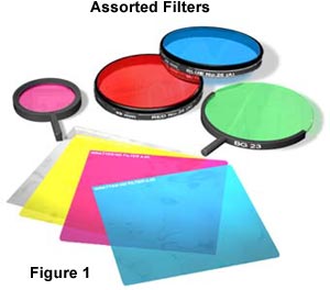 Photomicrography - Filters for Color Photomicrography | 奥林巴斯生物显微镜