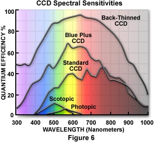 Confocal Microscopy - Electronic Imaging Detectors | 奥林巴斯生物显微镜