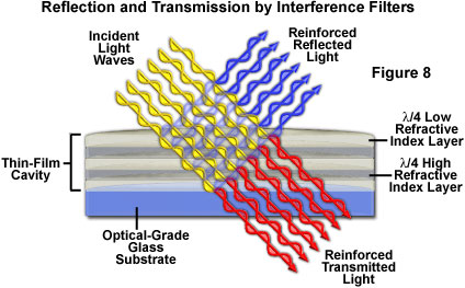 Confocal Microscopy - Interference Filters for Fluorescence Microscopy ...