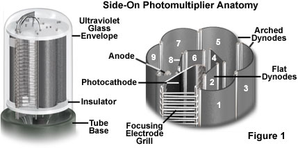 Confocal Microscopy - Electronic Light Detectors: Photomultipliers ...
