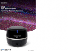 高分辨率显微镜_共聚焦显微镜_倒置显微镜-奥林巴斯生命科学 | 奥林巴斯生物显微镜