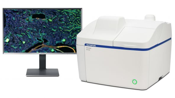 Atsuya Toda | 专家 | 奥林巴斯生物显微镜