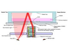 高分辨率显微镜_共聚焦显微镜_倒置显微镜-奥林巴斯生命科学 | 奥林巴斯生物显微镜