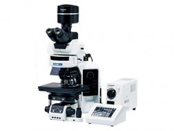 肿瘤研究 | 奥林巴斯生物显微镜
